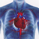 Anorexia Nervosa and How it can Cause Heart Failure