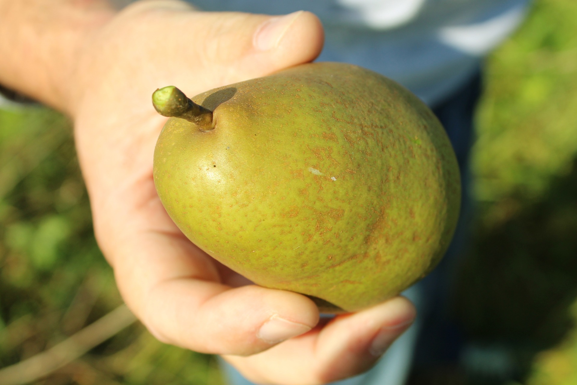 Orthorexia is Considered The "Clean Eating" Disorder