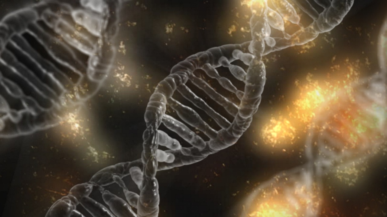Genetics and Anorexia Nervosa - Anomalies on Chromosome 12