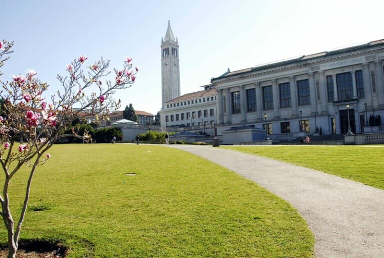 UC Berkeley Eating Disorder Help: Counseling & Support Groups